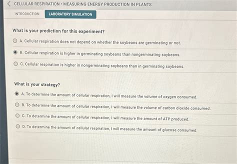 Solved Cellular Respiration ﻿measuring Energy Production
