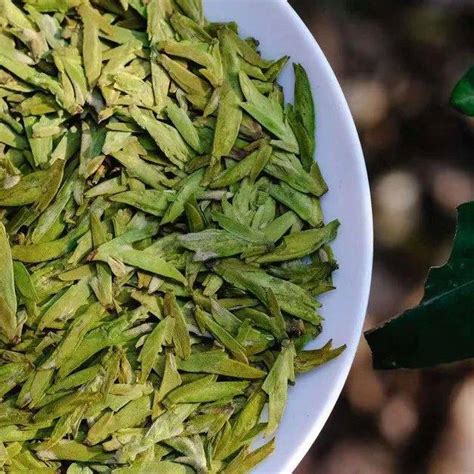 龙井茶为什么卖得贵？鲜叶茶叶品质