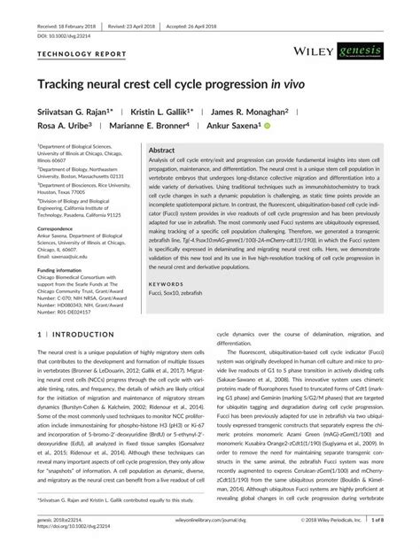 Pdf Tracking Neural Crest Cell Cycle Progression In Vivo · 1 Introduction The Neural Crest