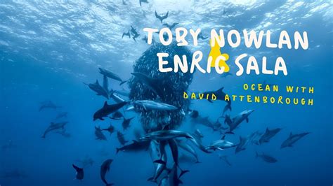 Ocean With David Attenborough Toby Nowlan And Enric Sala