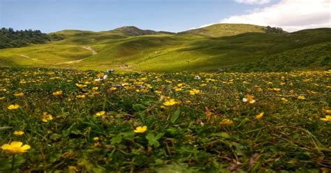 Dayara Bugyal Trek 4 Days Itinerary Best Guided Package