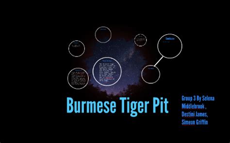 Burmese Tiger Pit By Destini James On Prezi