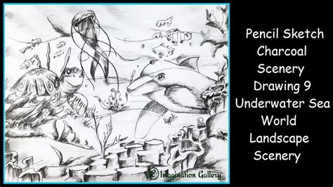 Underwater Pencil Drawings