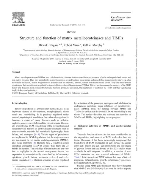 Structure And Function Of Matrix Metalloproteinases And Timps Pdf Extracellular Matrix