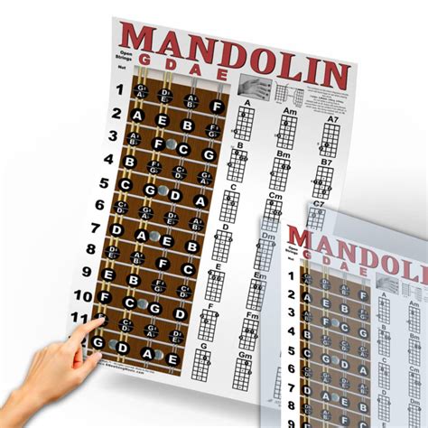 Mandolin Chords E Flat