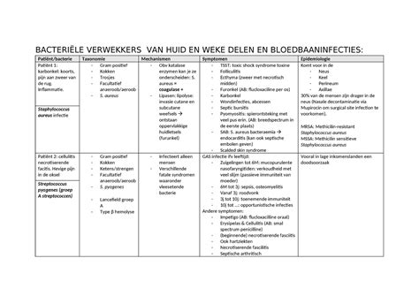 E2 Bacterie Huid Weke Delen BacteriËle Verwekkers Van Huid En Weke