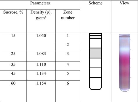 Characterization Of Sucrose Density Gradient Zones After High Speed