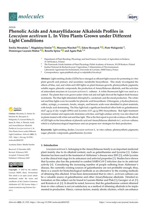 Pdf Phenolic Acids And Amaryllidaceae Alkaloids Profiles In Leucojum Aestivum L In Vitro