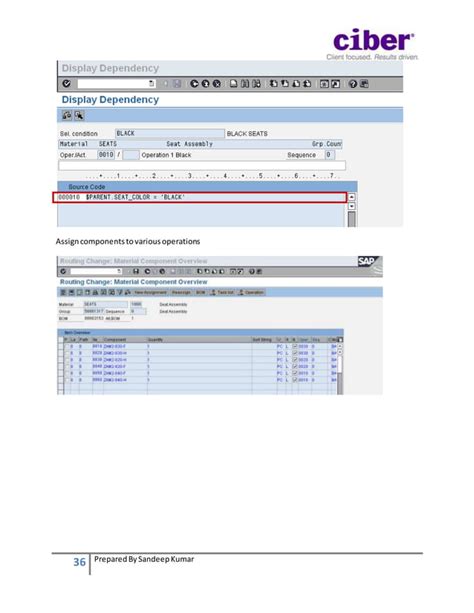 Variant Configuration In Sap Pp Beginners Guide