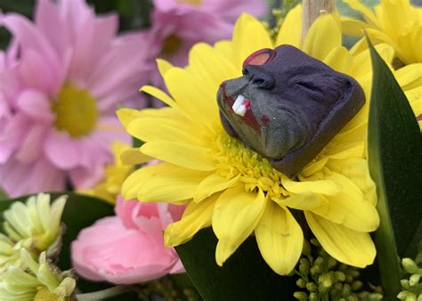 Killer Easter Bunny Rartisanmacro