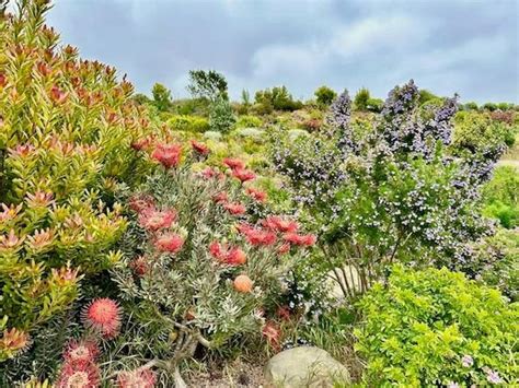 Trip Report A Hike Through Ventura Botanical Gardens Fodors Travel