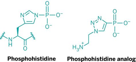 New Tool Phosphoproteomics