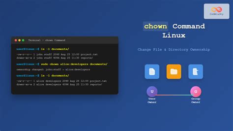 Chown Command Linux Master File And Directory Ownership Management Codelucky