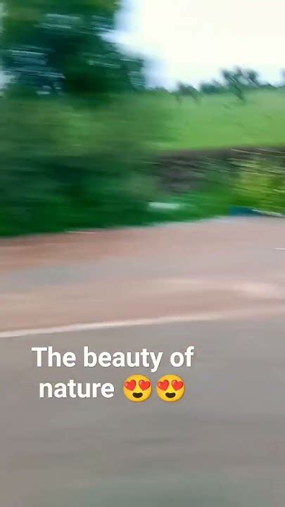 Beautiful Pictures Of Rajesthan Youtube