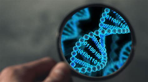 Indo Pi Paternity Testing Indonesia Dna Screening Paternity Test