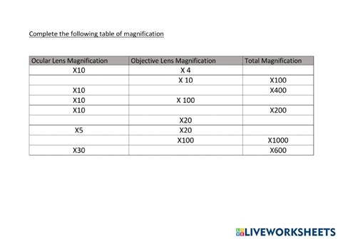 Magnification Of Microscope Worksheet Worksheets Library