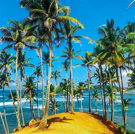 Danuka Hashan Kodithuwakku