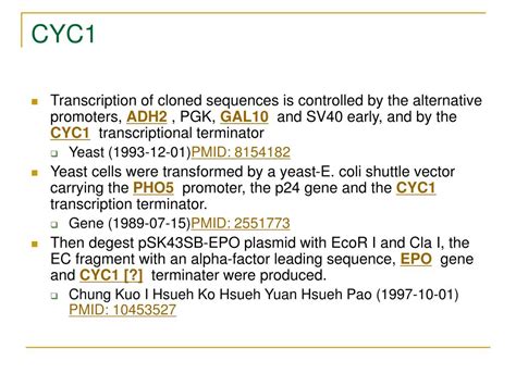 Ppt Yeast Vector System Powerpoint Presentation Free Download Id