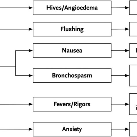 Premedication For Rapid Drug Desensitization Is Personalized For Each
