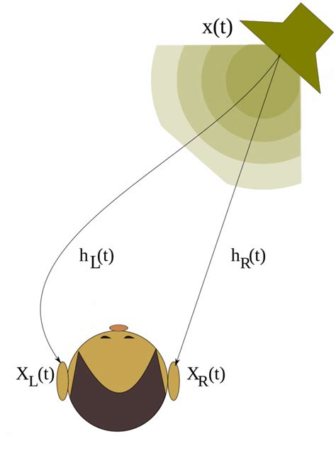 Head Related Transfer Function Introduction To Sensation And Perception