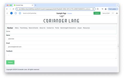 Sitefinity Basics Exploring Forms