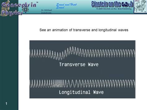 Transverse Wave Animation
