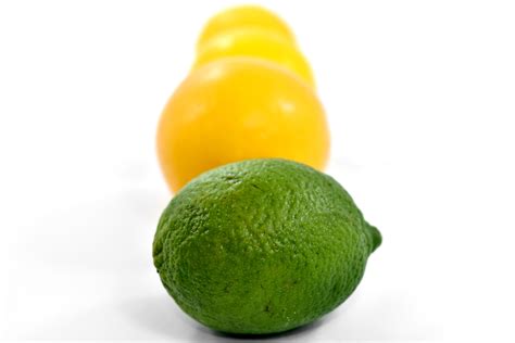 Free Picture Ascorbic Acid Bitter Citrus Key Lime Lemon Ripe