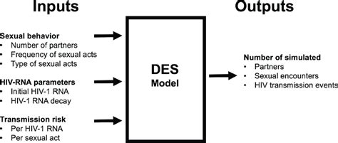 key input and output variables in the model abbreviations des