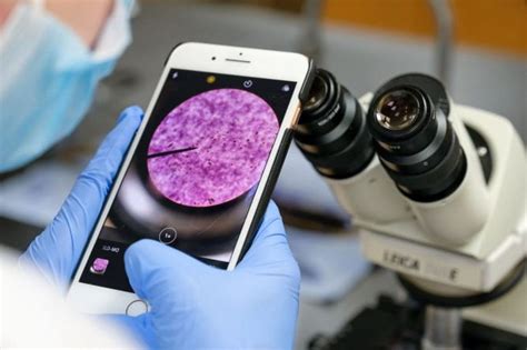 photos advanced microbiology lab at the green bay campus inside uw