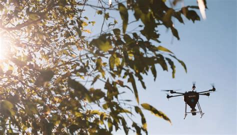 Future Positive Capital