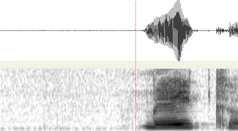 Alignment Correction Guide