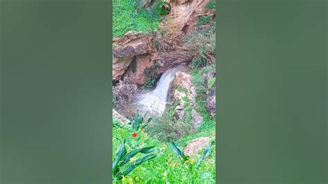 الدراجونالمغامرون Youtube