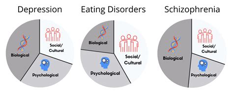 Defining Abnormality And Mental Disorders Abnormal Fiveable