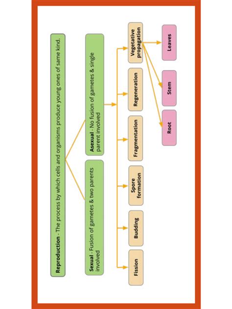 Asexual Reproduction Pdf