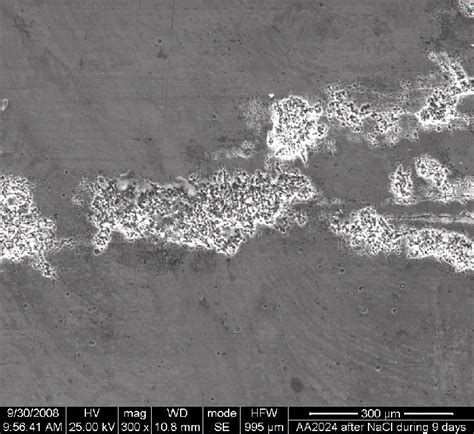 Sem Images Showing The Pitting Attack At Aa2024 T3 Alclad Substrate