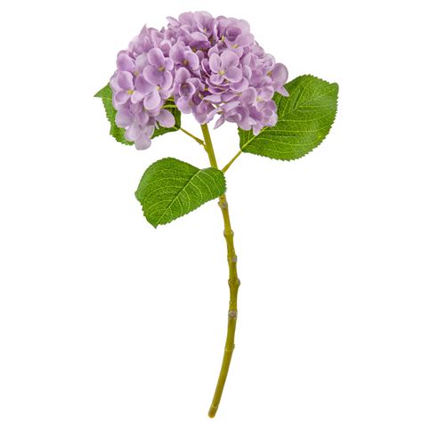 Small Head Hydrangea Pastel Lilac Eleganzafloral