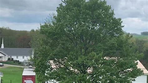 Friends Of Robin Gorman Home Facebook