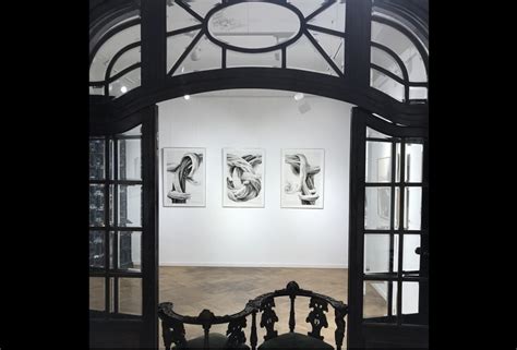 Interviu Artista Vizuală Marcela Rădulescu Despre Desen și Subtilitățile Lui Curatorial