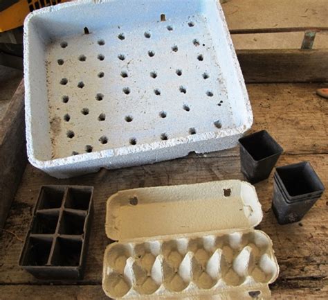 Outdoor Classroom Sowing Seed In Trays Tikorangi The Jury Garden