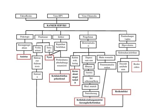 Pathways Kanker Serviks Pdf