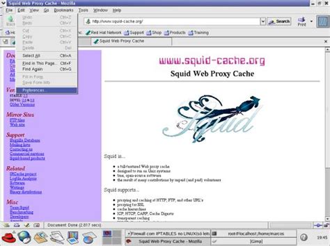 Instalando E Configurando O Squid