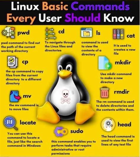How I Use Linux Commands For Devops Prashant Jadhav Posted On The Topic Linkedin