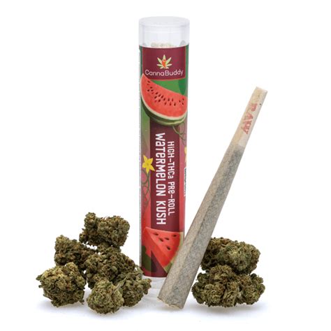 Shop Thca Flower Pre Roll Watermelon Kush Online Cannabuddy
