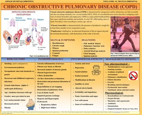 Copd Poster Presentation Pdf