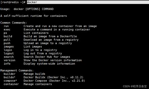 【docker】容器使用（nginx 示例）docker在容器里面访问nginx Csdn博客