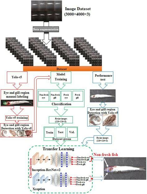 proposed hybrid model structure download scientific diagram