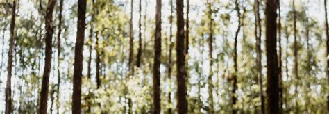 Binary Trees In Swift A Simple Data Structure By Steven Curtis Stackademic