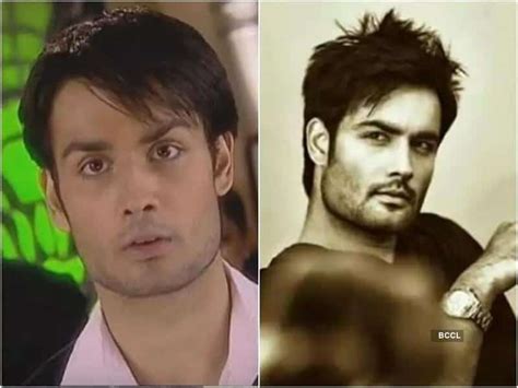 Vivian Dsena Net Worth Age Height Career And Personal Life Facts