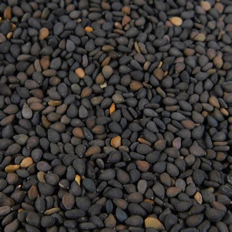 Ajonjoli Negro Kg Super Cremerías Ruiz