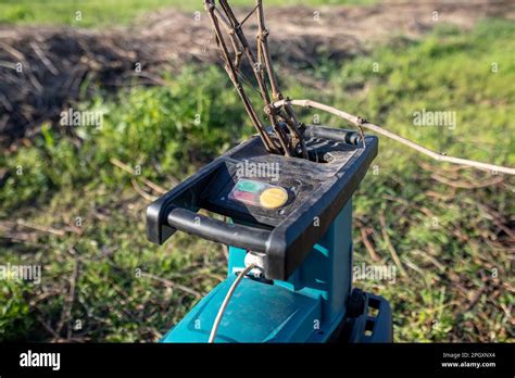 Electric Garden Grinder To Shred Cut Tree Branches During Spring